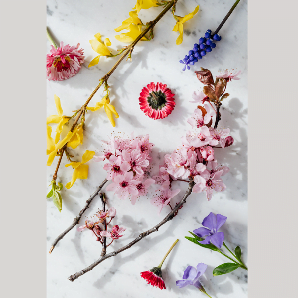 OpenCV: Image Manipulation – Meganano