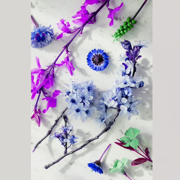 OpenCV: Image Manipulation – Meganano